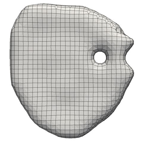 Github Dl4to Dl4to Dl4to Is A Python Library For 3d Topology