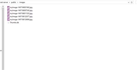 Javascript Can Not Read Uploaded Images In Expressjs Stack Overflow