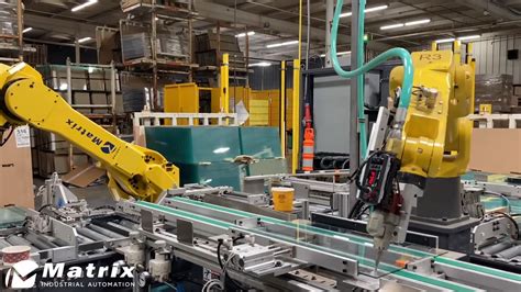 Comparing Fanuc Robotic Solutions Standard Vs Customized Industrial Automation Automation