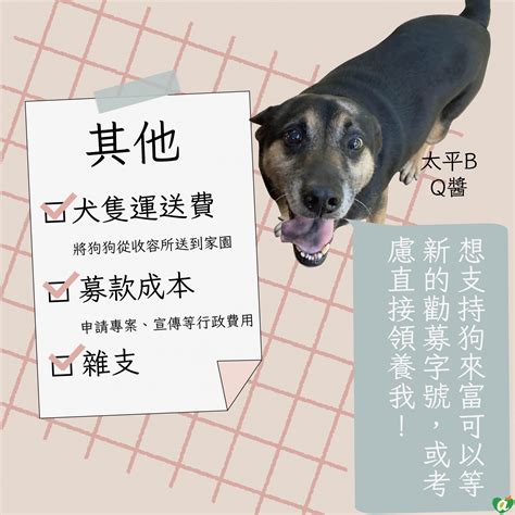 2022狗來富專案 社團法人中華民國保護動物協會