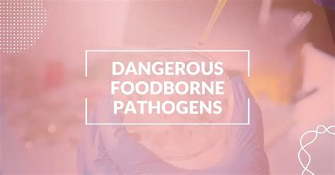 The Most Common Foodborne Pathogens