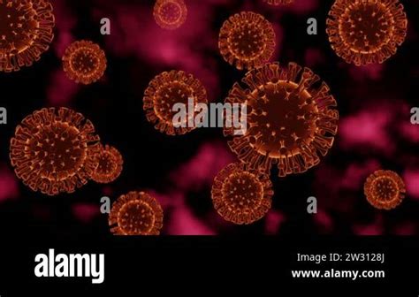 Parasite Virus Stock Videos And Footage Hd And 4k Video Clips Alamy