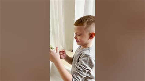 Спонж для чистки зубов Green Fiber. Здоровая улыбка – лучшее украшение🤍 ...