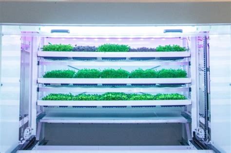Next Generation Vertical Farming Solar Impulse Efficient Solution