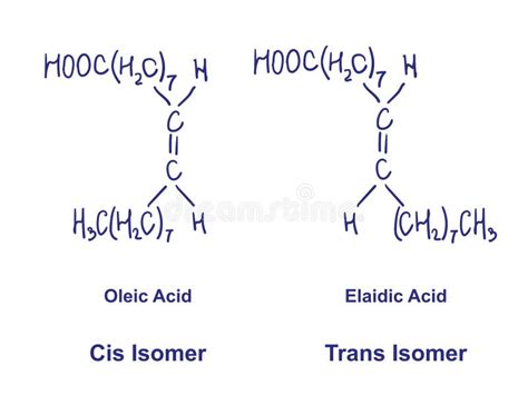Oleic Acid Or Omega 9 Cis Fatty Acid Skeletal Formula Stock Vector