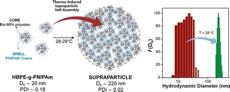 8 Self Assembly Of Thermoresponsive Hyperbranched Polymers Into Download Scientific Diagram