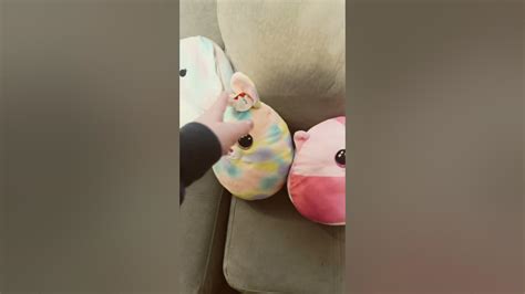 Squish Mellows Youtube