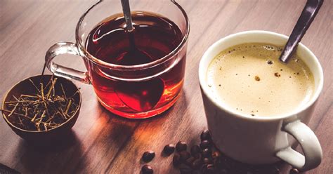 다이어트 중 커피 괜찮을까 Cbm 토론토