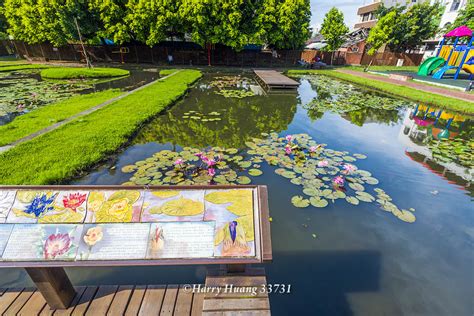 Harry Beigang Water Cultural