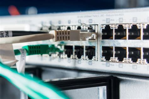 Server With Patch Cables Plugged In Ethernet Ports Stock Photo Image Of Information Office