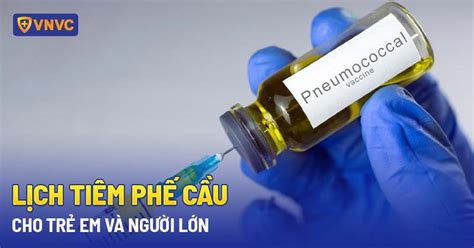 Tiem Ngua Phe Cau on Sale | emergencydentistry.com
