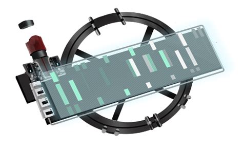 Genetic Code Template Warframe Wiki