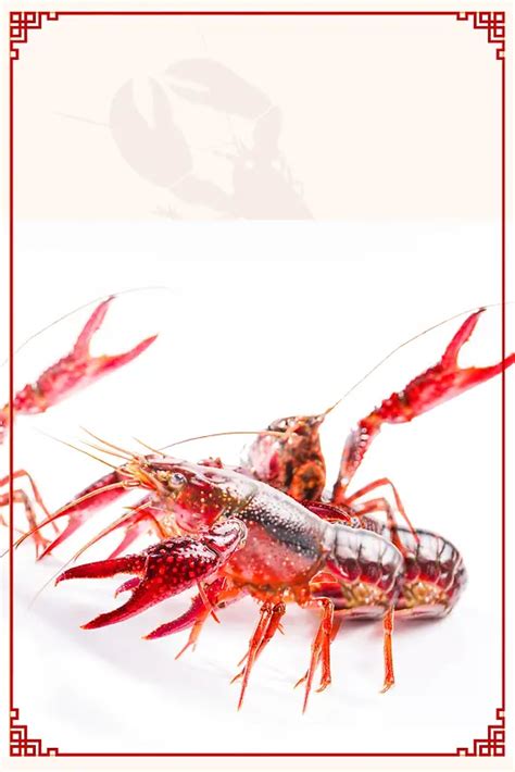 美味香辣小龙虾美食背景图片素材下载图片编号qxorpzzv 免抠素材网