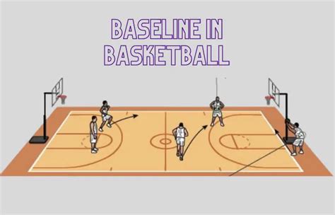The Importance Of The Baseline In Basketball Tips For Success