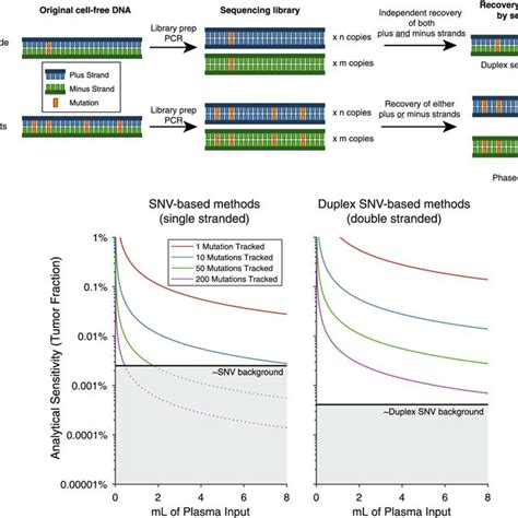 Enhanced Detection Of Minimal Residual Disease By Targeted Sequencing Of Phased Variants In