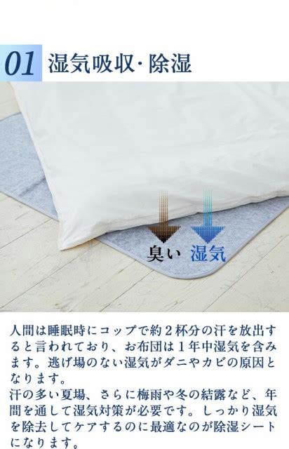 備長炭入り 洗える除湿シートシングル 湿気をグングン吸収 90×180cm 除湿シート マットレス 敷きパッド 敷き 布団 の 下 に 敷く