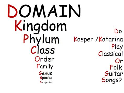 Ppt Unit 13 Taxonomy Powerpoint Presentation Id2112644