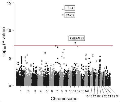 gene based association analysis identified five significantly