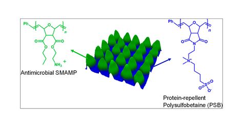 Three Dimensional Bifunctional Microstructured Polymer Hydrogels Made From Polyzwitterions And