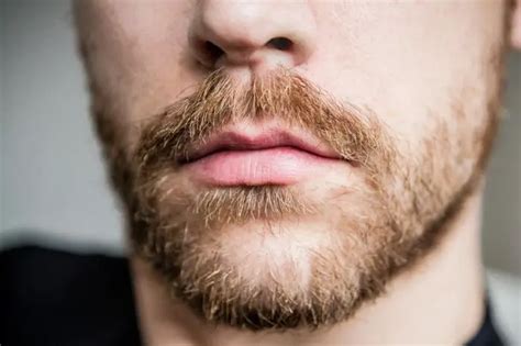 5 Best Non Allergenic Beard Dye Beards Base