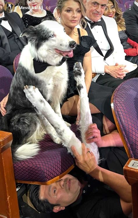 アカデミー賞授賞式に出席した「犬のメッシ」の拍手シーンの裏側がシュール Frontrow