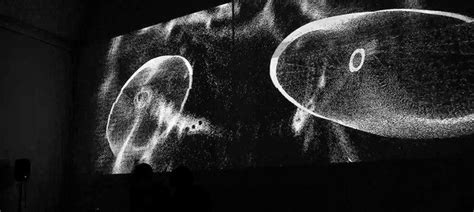 Stm~ Duality Performance Performance Artist New Media Art Artist