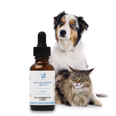 600 Mg Cbd Oil For Pets Cbd Oil For Medium Cats And Dogs Absc