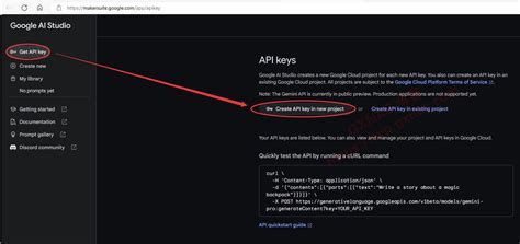 部署一个无需科学环境的谷歌 Gemini Pro Chat 并绑定自己域名 Gxnas博客