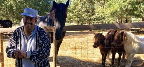 GiveSendGo Veterans Equine Therapy At Unbridled Joy Inc The 1