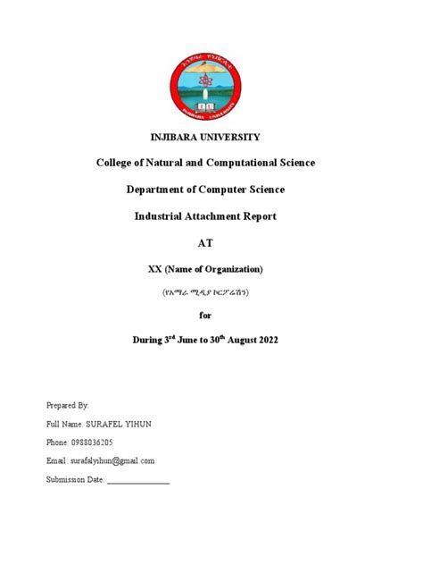 Internship Pdf Computer Network Ip Address