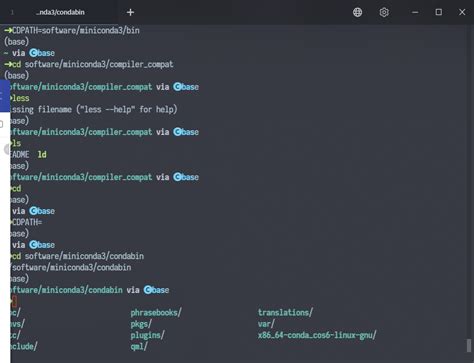 Wrong Display Of Prompt In Last Byte Issue 4037 Microsoft WSL GitHub