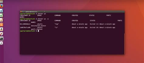 COMANDOS DE DOCKER
