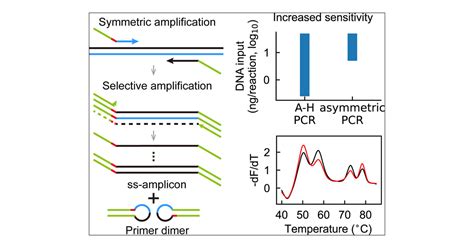 Multiplex Asymmetric PCR by Combining the Amplification Refractory Mutation System with the Homo ...