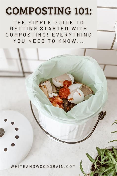 Composting 101 The Simplified Guide To Composting Artofit