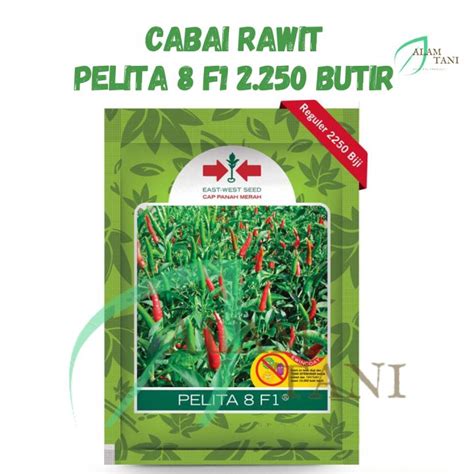 Benih Cabe Rawit Hijau PELITA 8 F1 2250 Butir Original Cap Panah Merah Lazada Indonesia