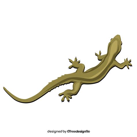 Free Clipart Of Lizard Download Free Clipart Of Lizard Png Images