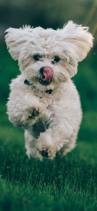 7k 4k日漫海滩上的男孩女孩 动漫手机动态壁纸 动漫手机壁纸下载 元气壁纸