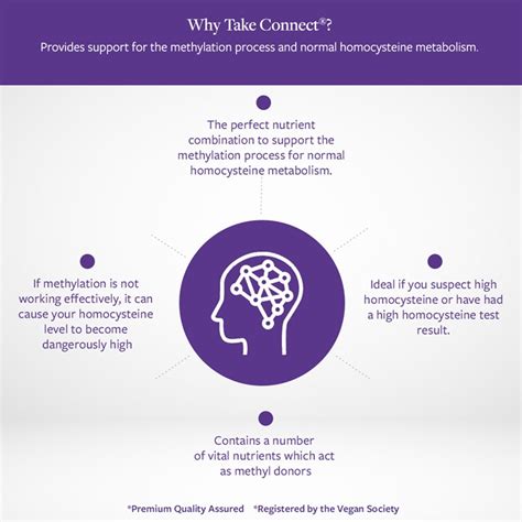 Connect 60 Caps Improve Memory And Cognition By Methylation Support