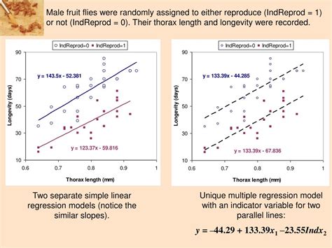 PPT 28 Multiple Regression PowerPoint Presentation Free Download ID 3481218