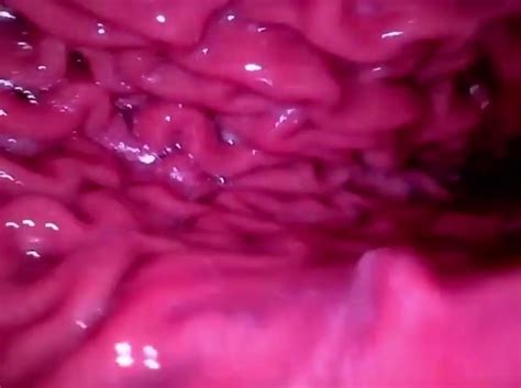 My Empty Stomach Femalebody Vore