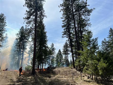 Bc Wildfire Service On Twitter Bcwildfire Supported A Successful