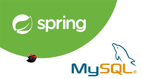 Springboot Mysql Mybatis Hikari Cp