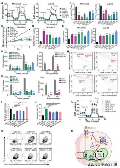 【文献详解】肿瘤治疗新思路：靶向m6a机制 知乎