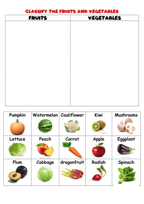 Fruits And Vegetables Worksheets