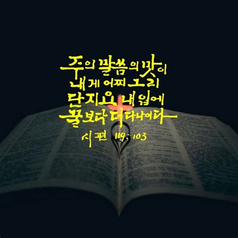 비전붓 캘리그라피 좋은글 감사와은혜 비전과소망 새로운시작 Instagram