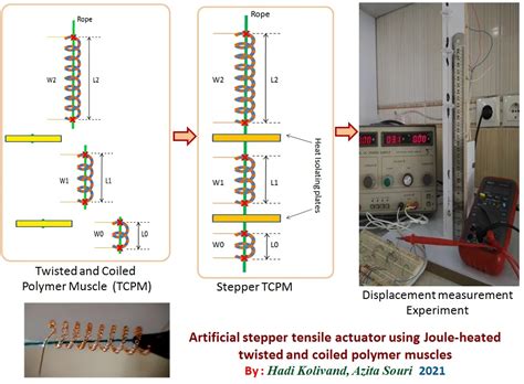 Artificial Stepper Tensile Actuator Using Joule Heated Twisted And Coiled Polymer Muscles Extrica
