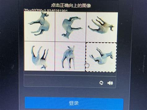这验证有点东西的 Nga玩家社区