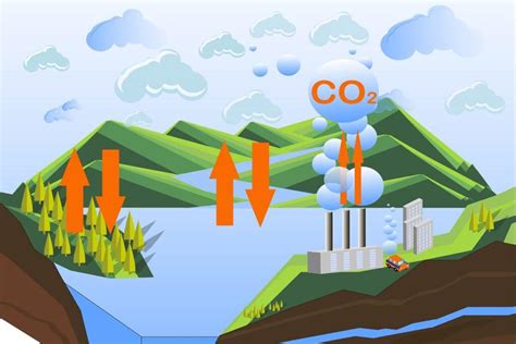 What Are Carbon Stocks Energy Theory