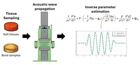 Biomedical Ultrasound Sound Diffusivity Frequency Dependent Diffusivity Nonlinear Acoustics