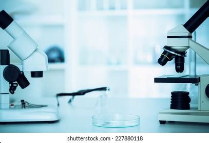 Microscope Tissue Slides Images Stock Photos D Objects Vectors Shutterstock